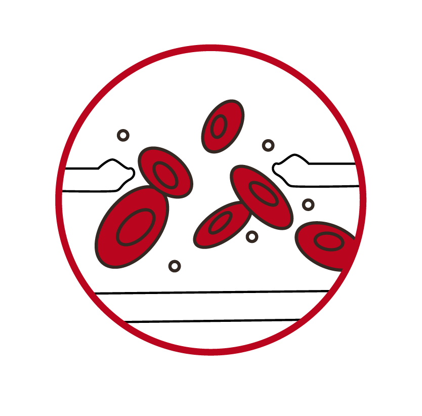 Bleeding Disorders | Haematology Clinic